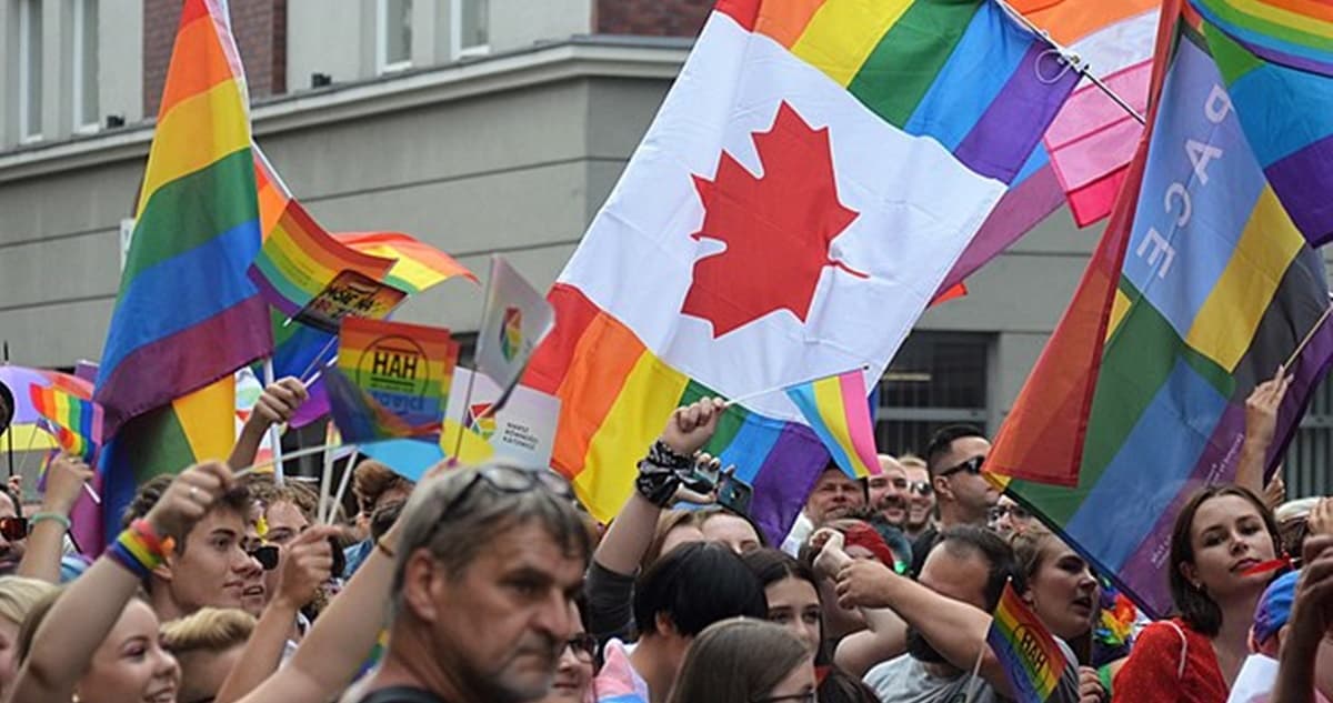 Repeated Misgendering Of Employees On Purpose is a Human Rights ...